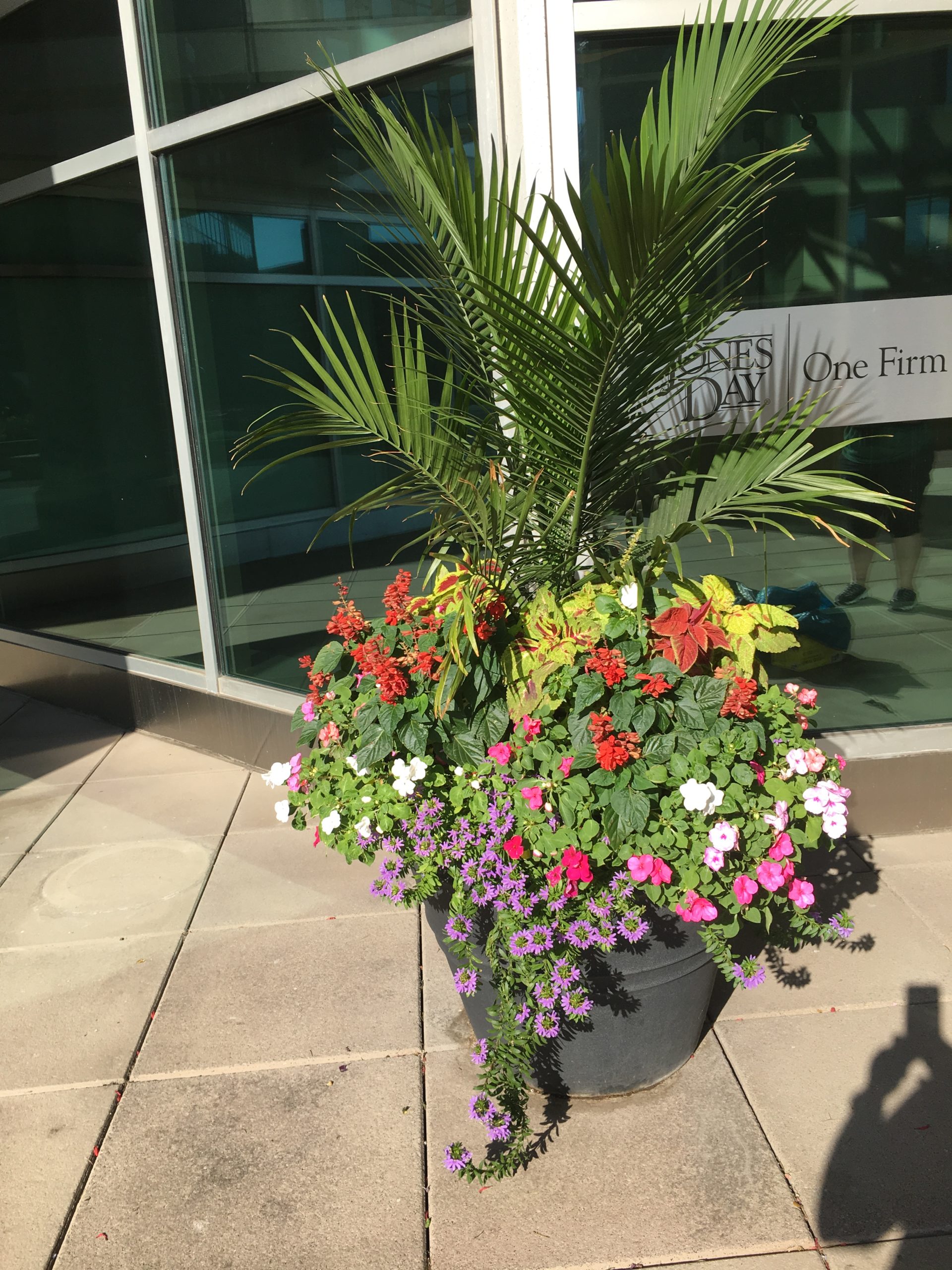 Services – Plant Masters